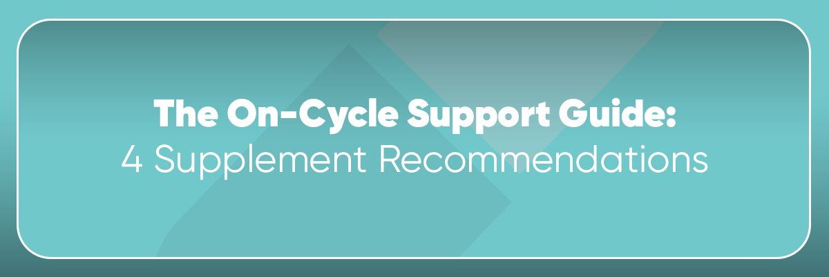 The On-Cycle Support Guide & 4 Supplement Recommendations