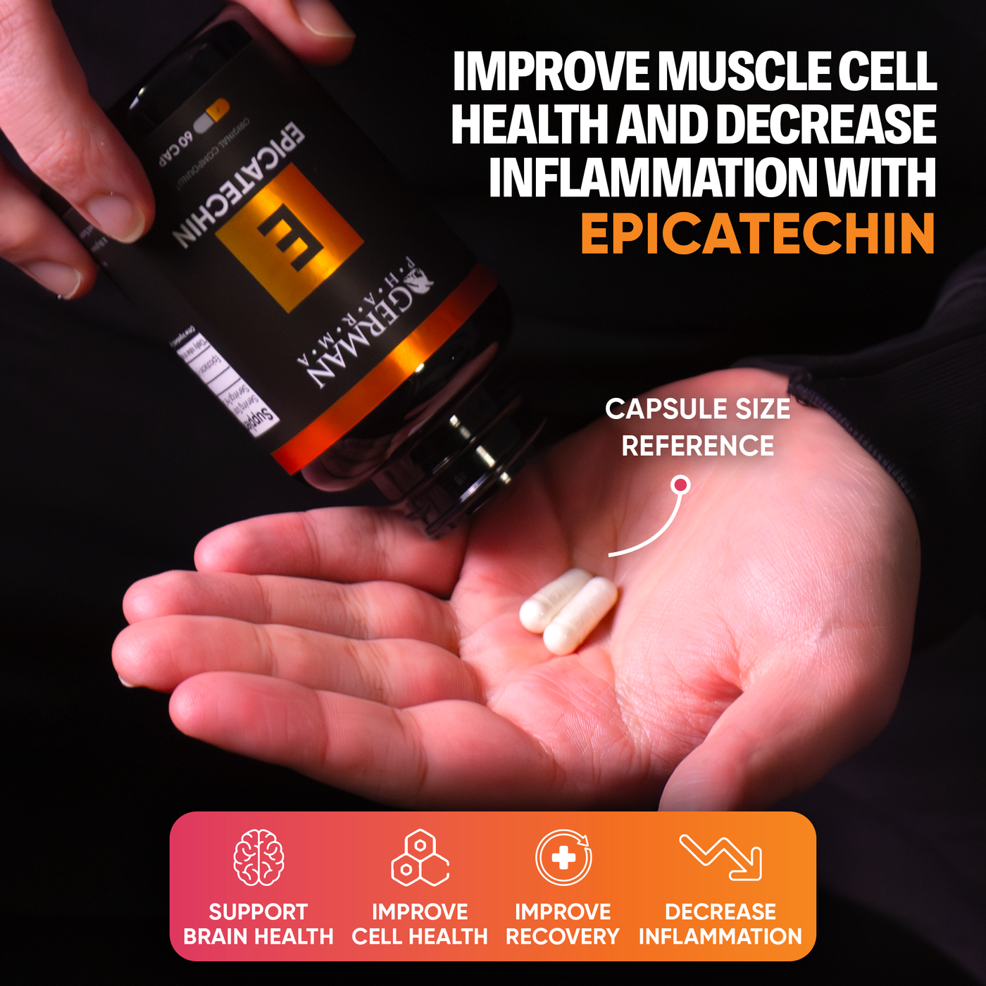Epicatechin: Myostatin Inhibitor & Follistatin Support | Pro-Hormones