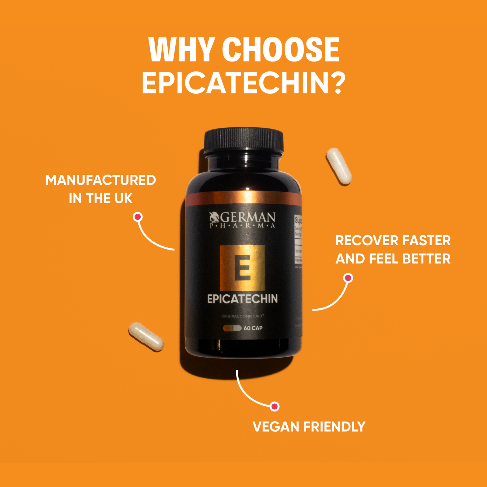 Epicatechin: Myostatin Inhibitor & Follistatin Support | Pro-Hormones